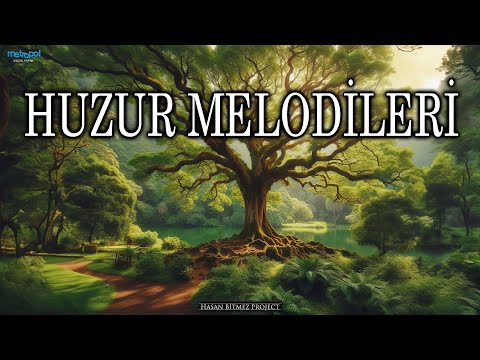 Ruhunuzu Dinlendiren  Eserler - Huzur Melodileri - Huzur Veren Fon Müzikleri - #relaxingmusic