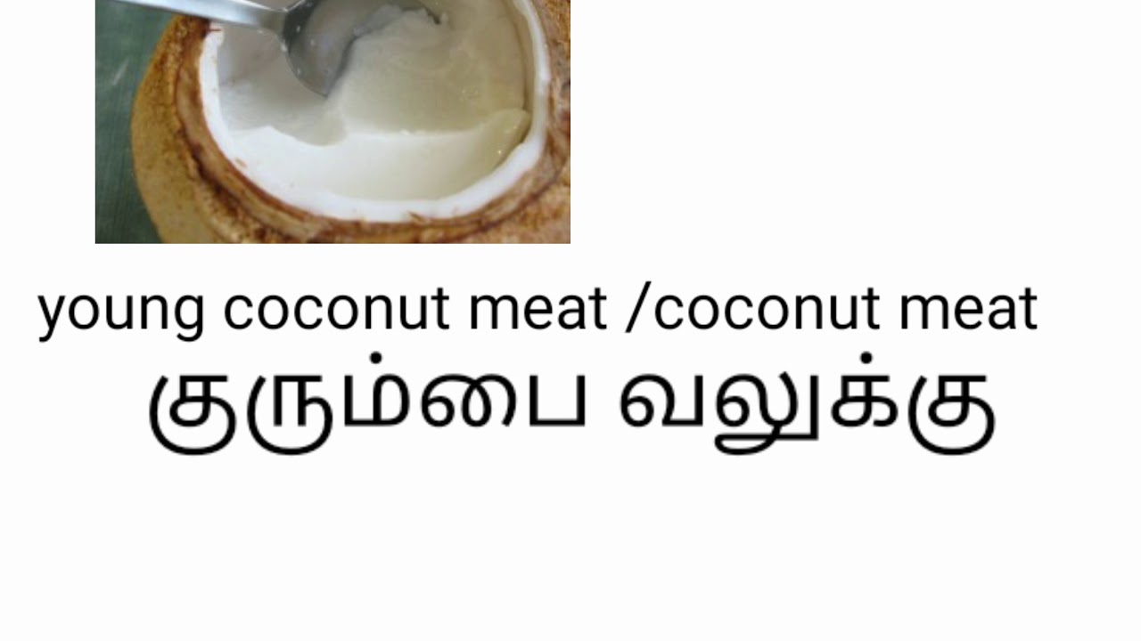 Coconut related words/word of the day #1/The king of english - YouTube