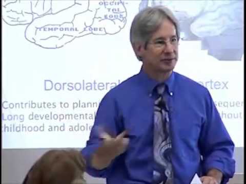 CPIN Research Series Dr Ross Thompson 4 - YouTube