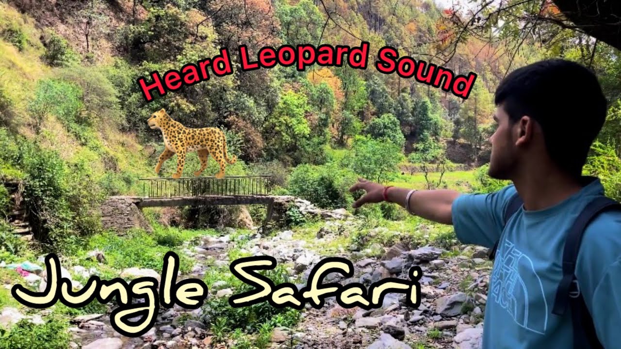 Waterfall Adventure In Shimla | Jungle Safari | Real Forest 🌳 🏔️ - YouTube