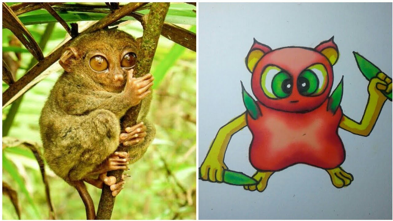 DRAWING:(tarsier)pokemon inspired on a animal you can see in the ...
