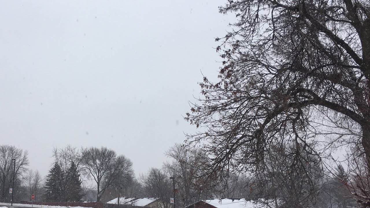 Snowy Thursday - YouTube