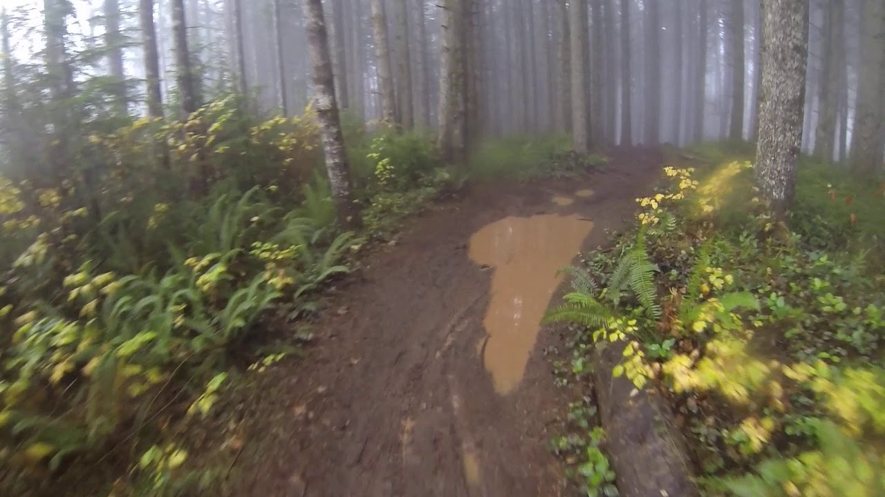 Capital State Forest Trail Riding. CR250 - YouTube