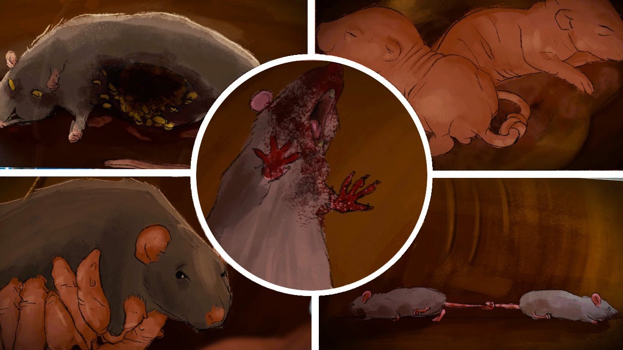 Rattenkonig - You Play As a Rat But Your Tail is Tied To A Dead Rat ...