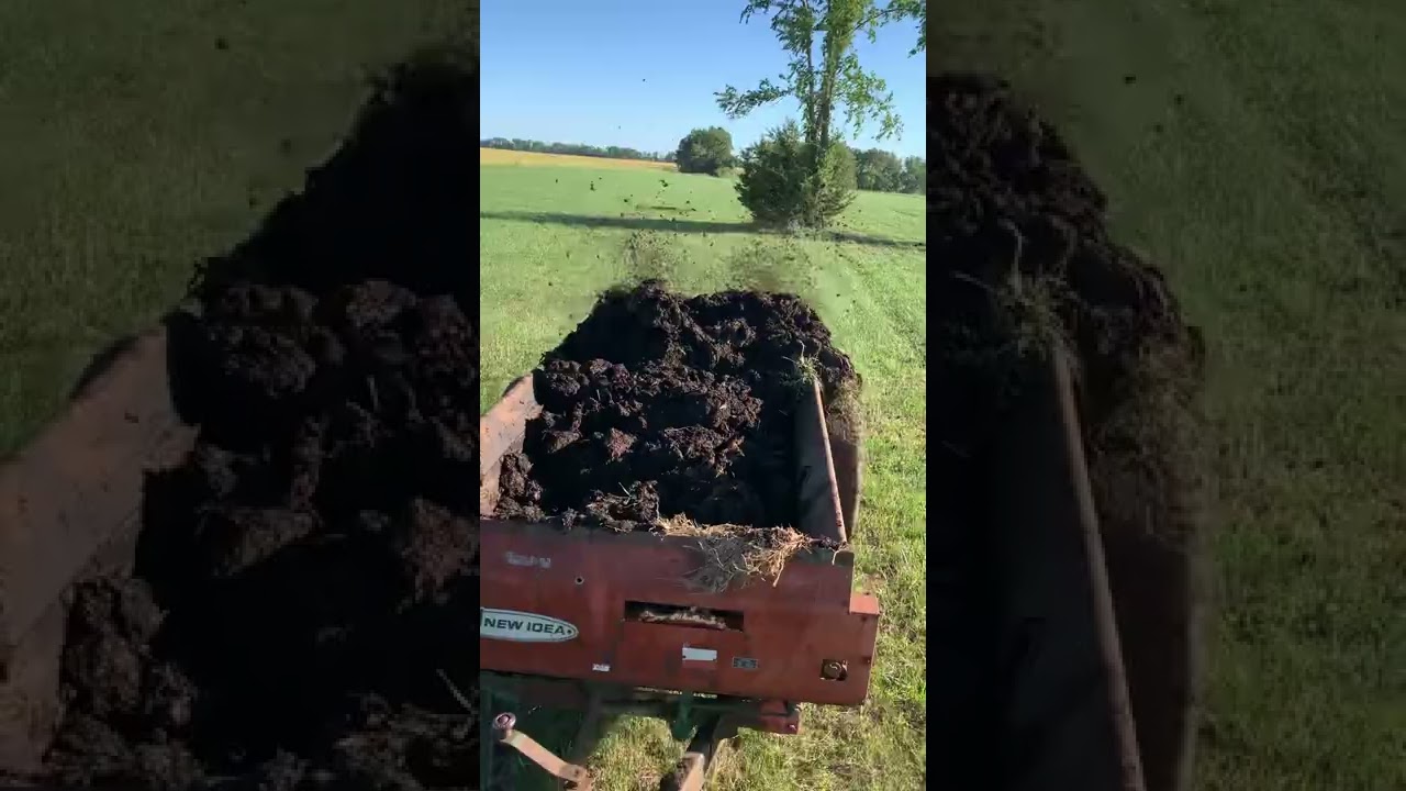 Farm Clean up Step #3 - Spread Manure on the Pasture - YouTube