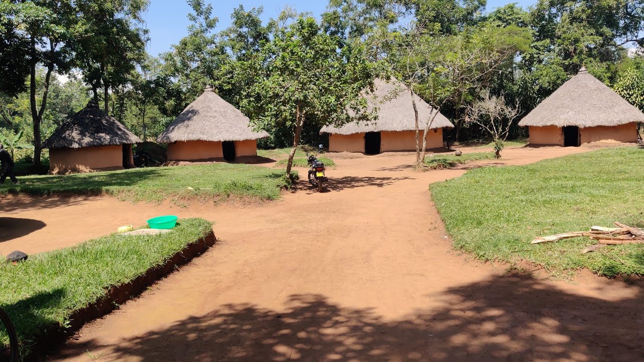 SURPRISE INVITATION FROM THE KING 👑👑💥🇰🇪NABONGO MUMIA ll - YouTube