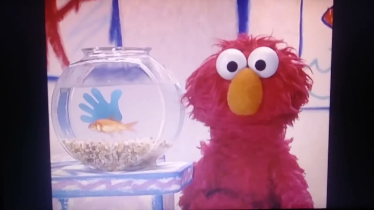 Elmo s World Dorothy s Hands Question YouTube Elmo s World Dorothy s Hands Question YouTube