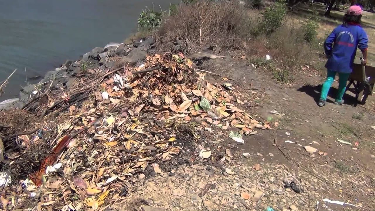 Cuidando Nuestros Rios - YouTube