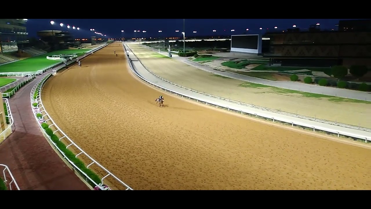 Horses on the track..#Saudi racing@King Abdulaziz racetrack - YouTube