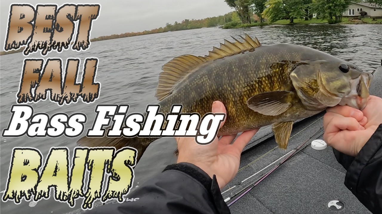 5 Lures You NEED To Throw this Fall / Fall fishing Northern Bass - YouTube