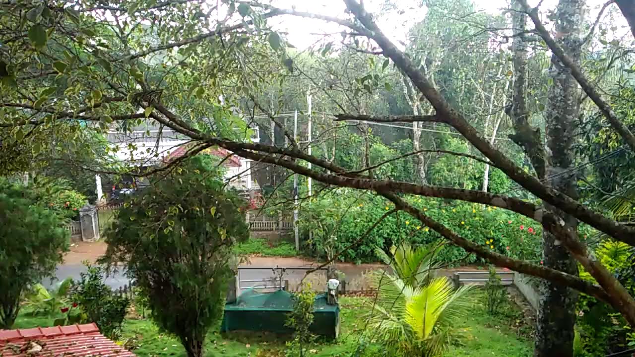 A Peaceful Rain At Anakkara, Idukki, Kerala - YouTube