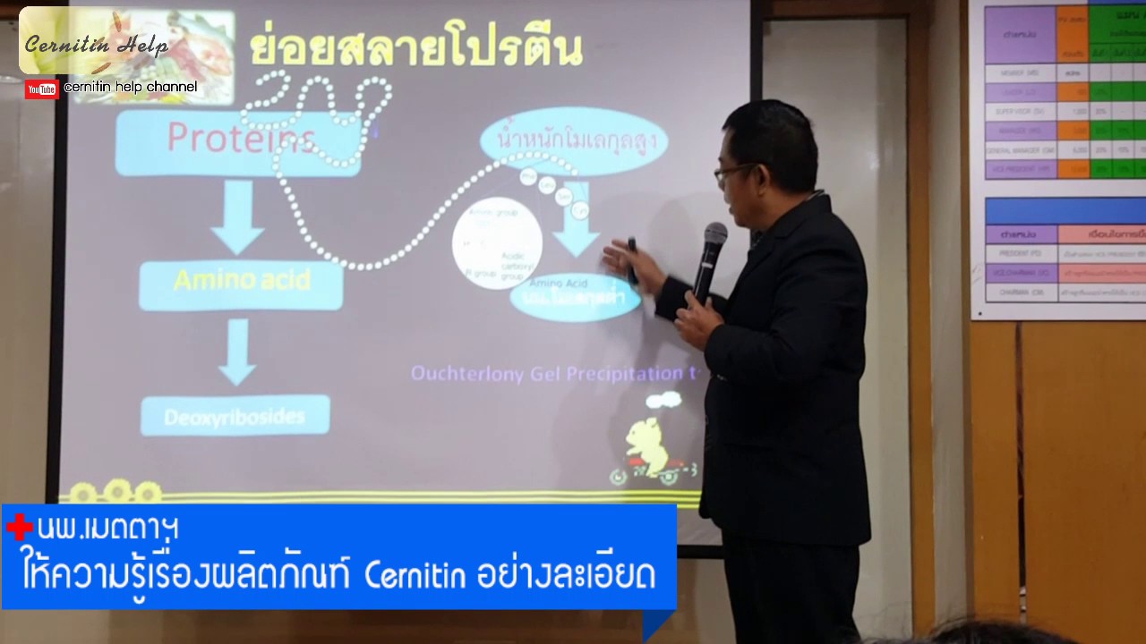 คุณหมอแนะนำCernitinอย่างละเอียด ปรึกษา 0624684646 - YouTube