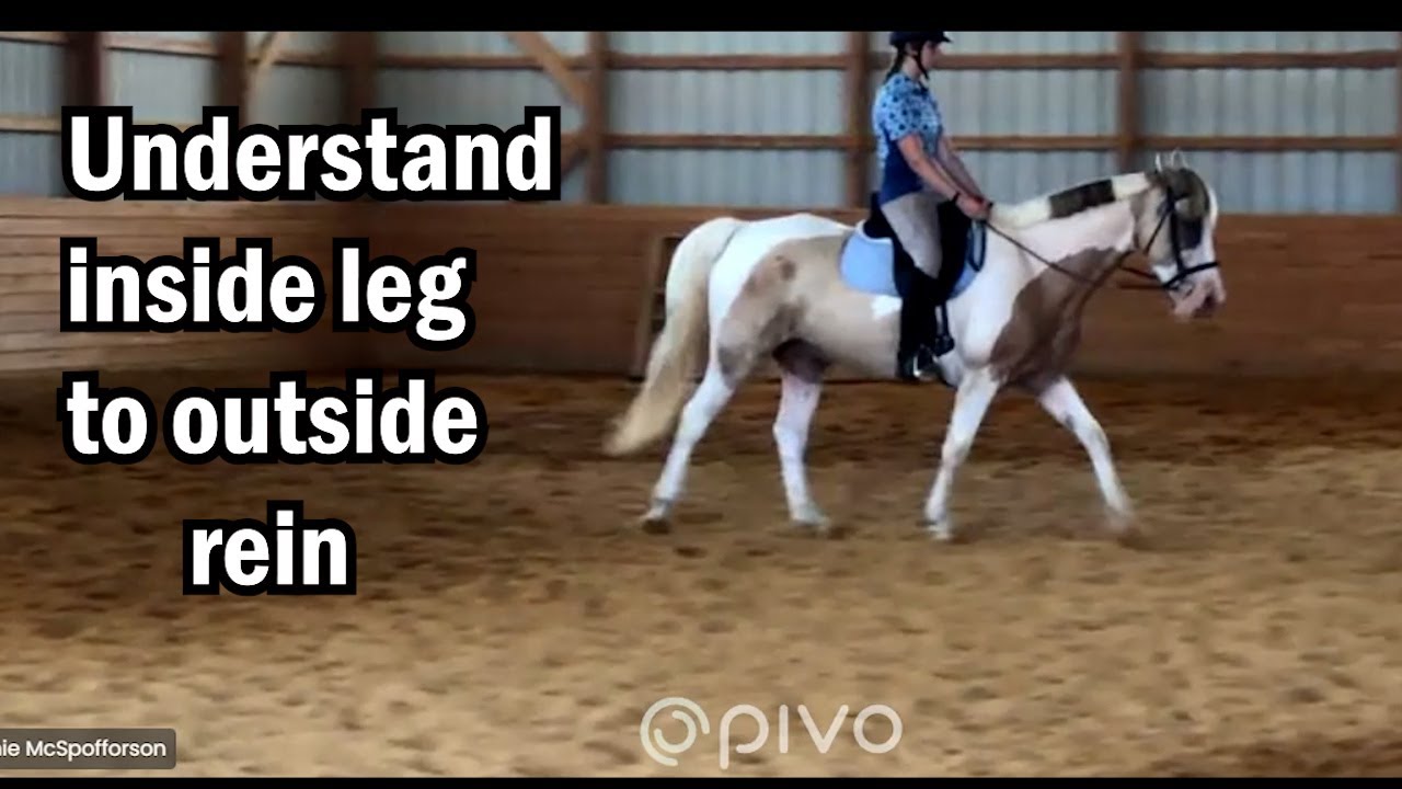 WHAT does inside leg to outside rein MEAN? - YouTube