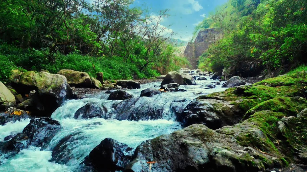 4K Natural Sound Therapy from Water Flowing in the Mountains, Forest ...