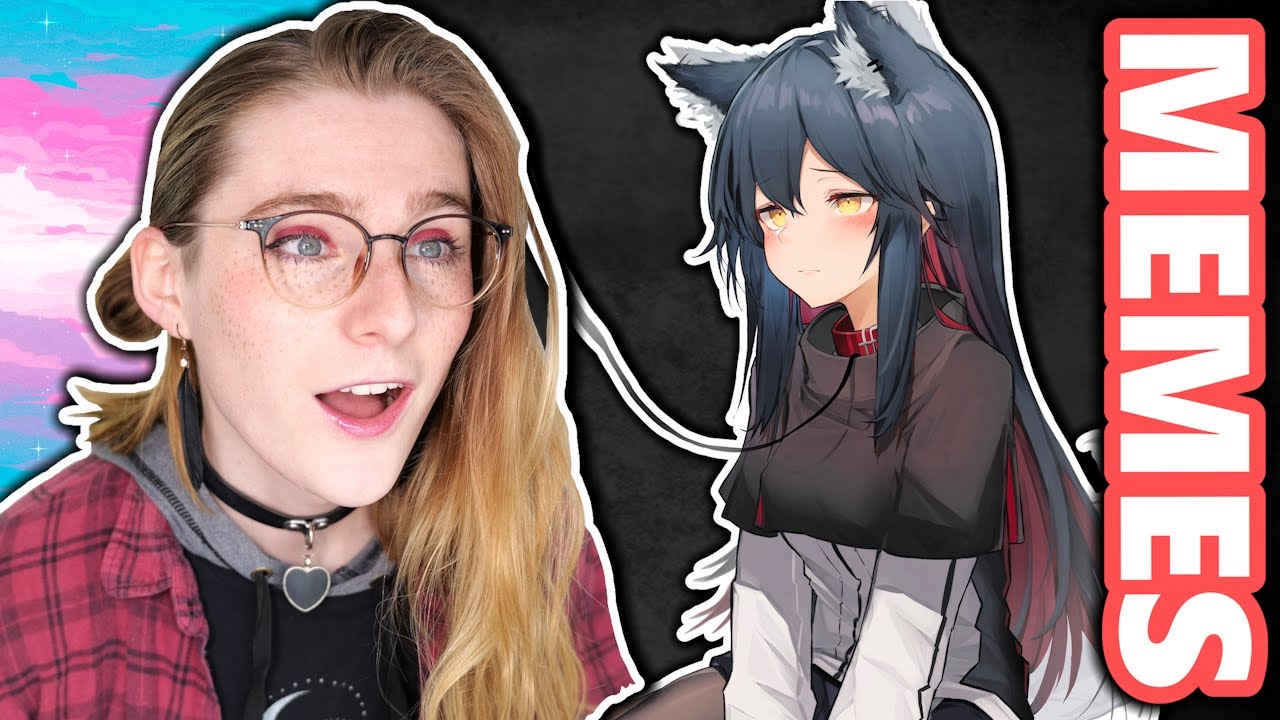 Transfem Chaos And SUCCULENT Memes (LIVE) - YouTube