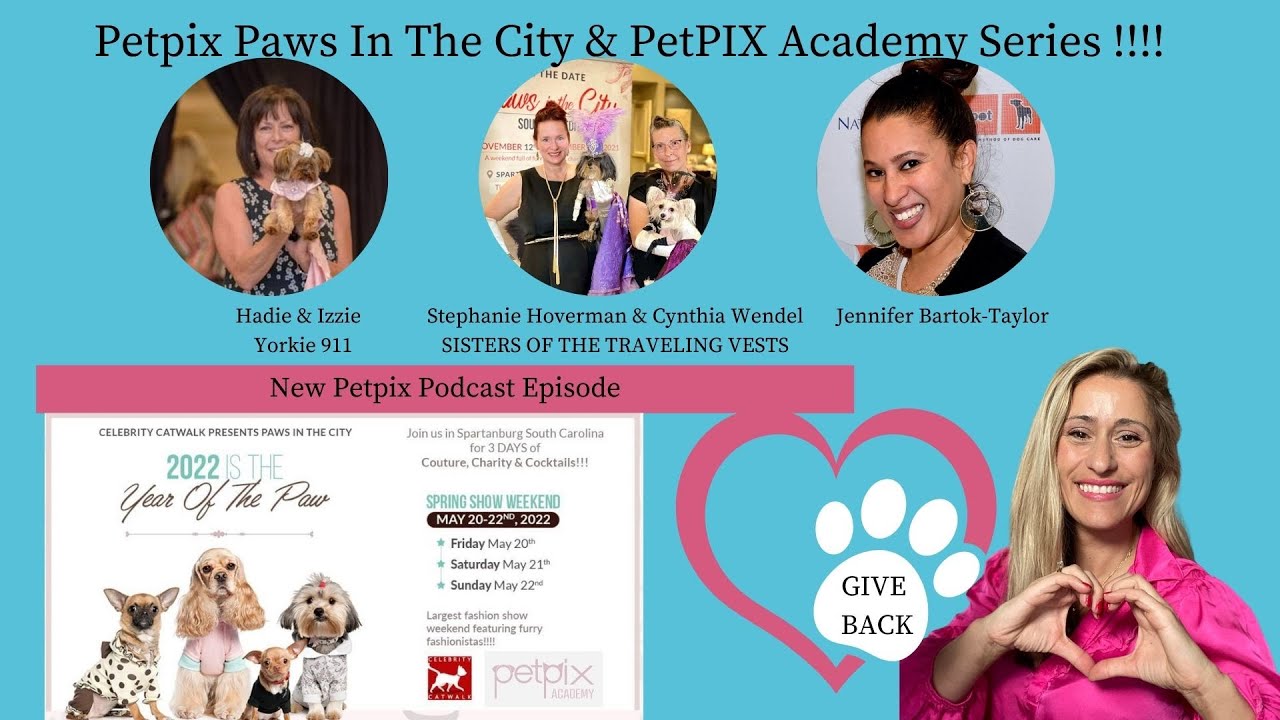 Learn More About Yorkie 911 Rescue & Sisters Of The Traveling Vests in ...