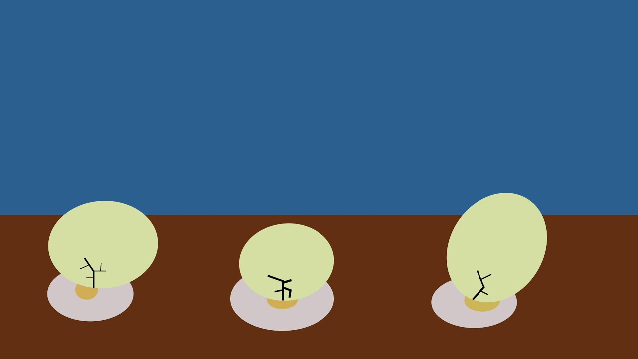 Egg cracking animation - YouTube