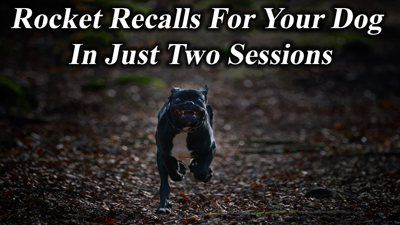 Rocket Recalls In Just Two Session Plus Amazing Ivan Balabanov Story - YouTube