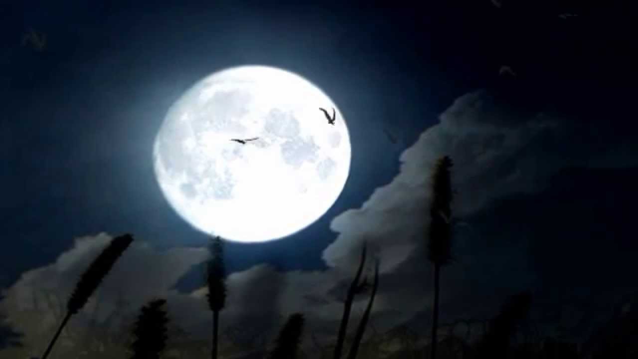 មើលមេឃរំលែកចិត្តនឹក by tenakor (cover) - YouTube