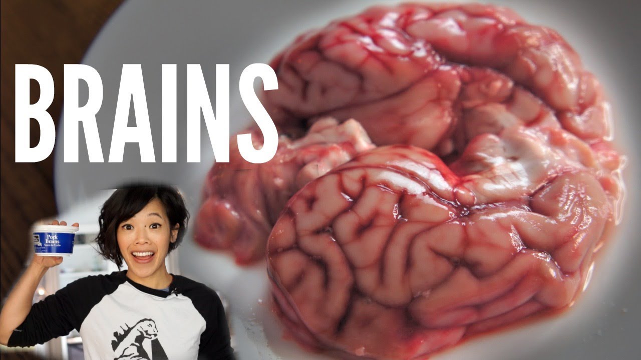 BRAINS TASTE TEST Brains & Eggs Recipe | Day 5 GUTMAS 2017 - YouTube