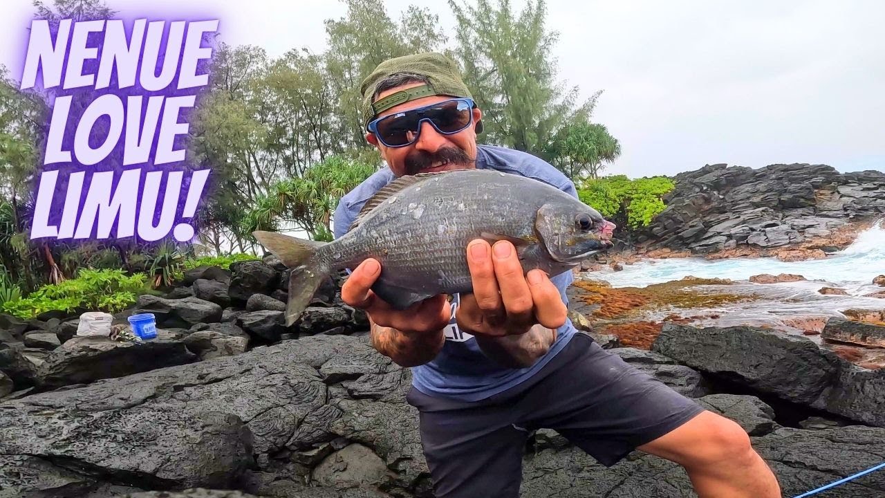 Master Fishing With Limu Catching Nenue On The Beautiful Big Island of ...