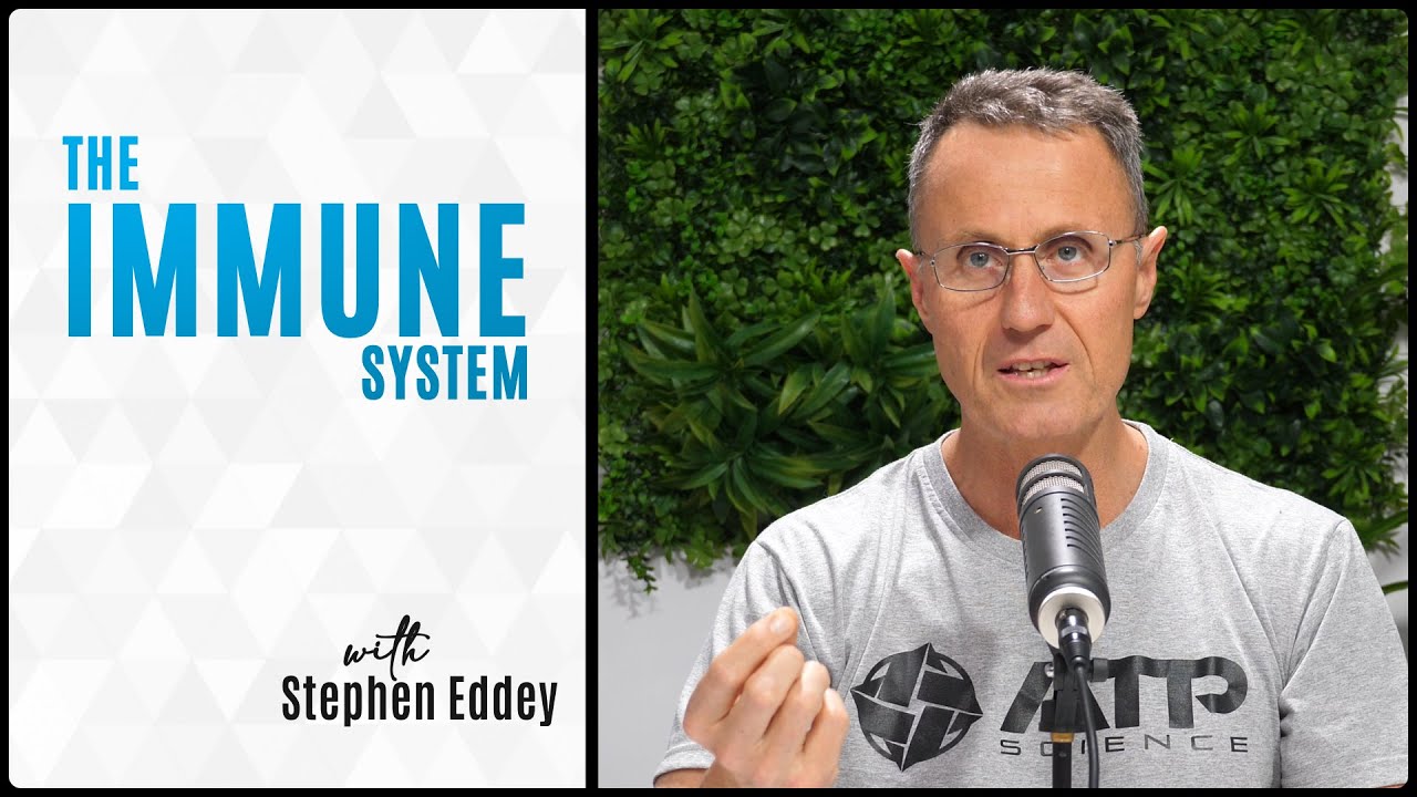 The Immune System | with Stephen Eddey - YouTube