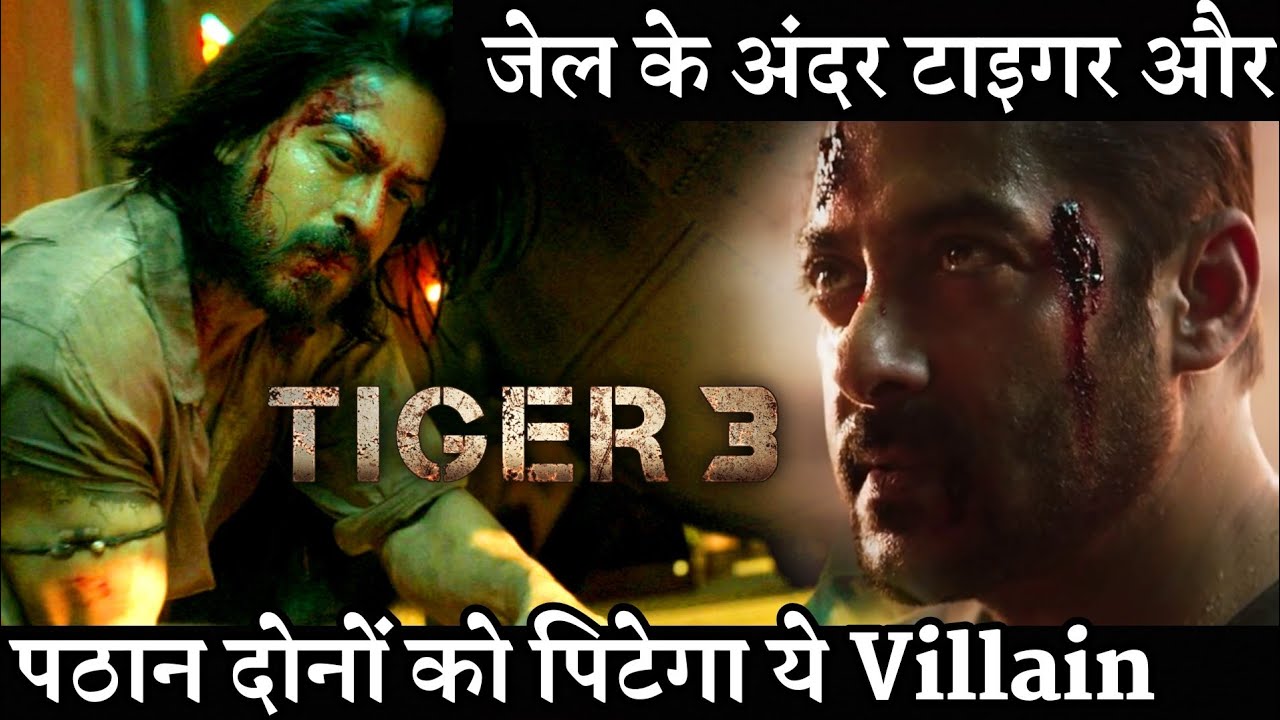 Shahrukh Khan aka Pathaan and Salman Khan Fight With Tiger 3 Villain ...