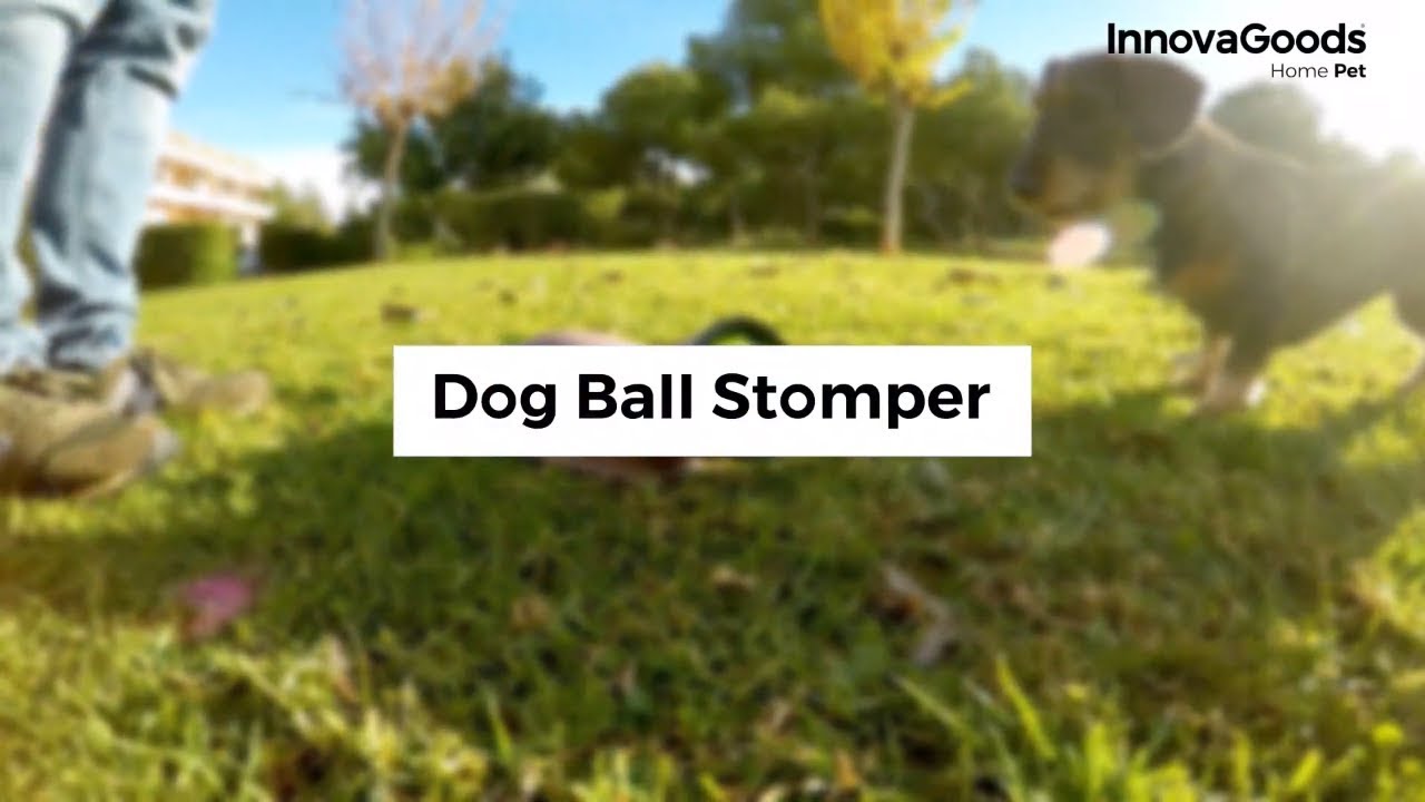 InnovaGoods Home Pet Dog Ball Stomper - YouTube