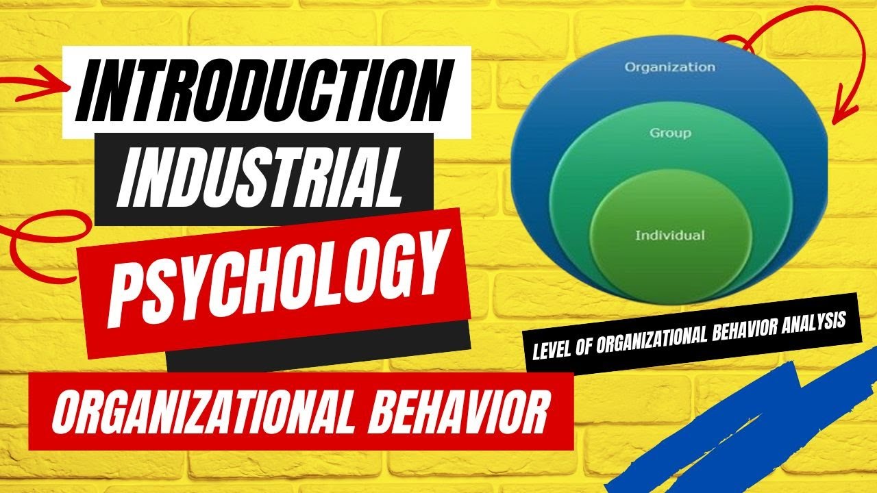 INTRODUCTION TO INDUSTRIAL PSYCHOLOGY AND ORGANIZATIONAL BEHAVIOR ...