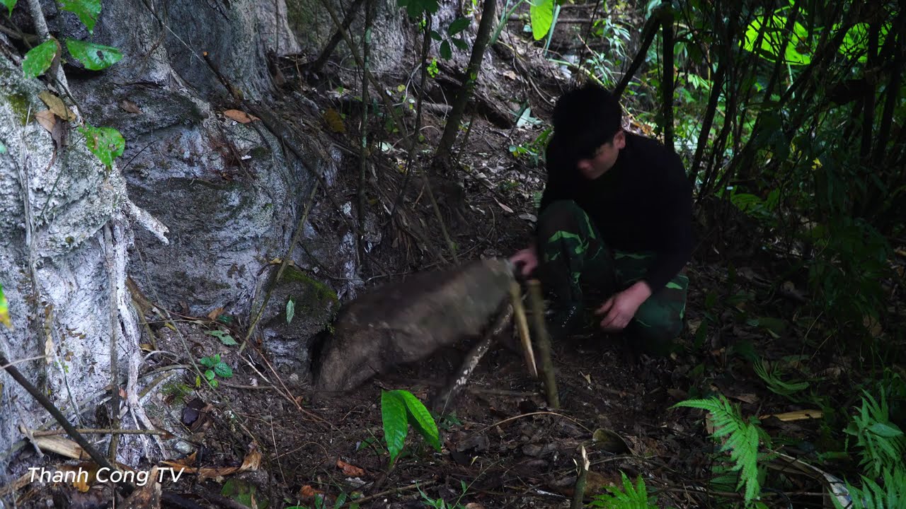 Alone in the Wild | Traces of Wild Weasels, Setting Traps to Catch ...