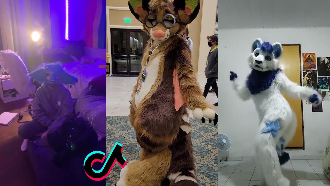 Furry Memes - Dino Mask TikToks Compilation #12 - YouTube