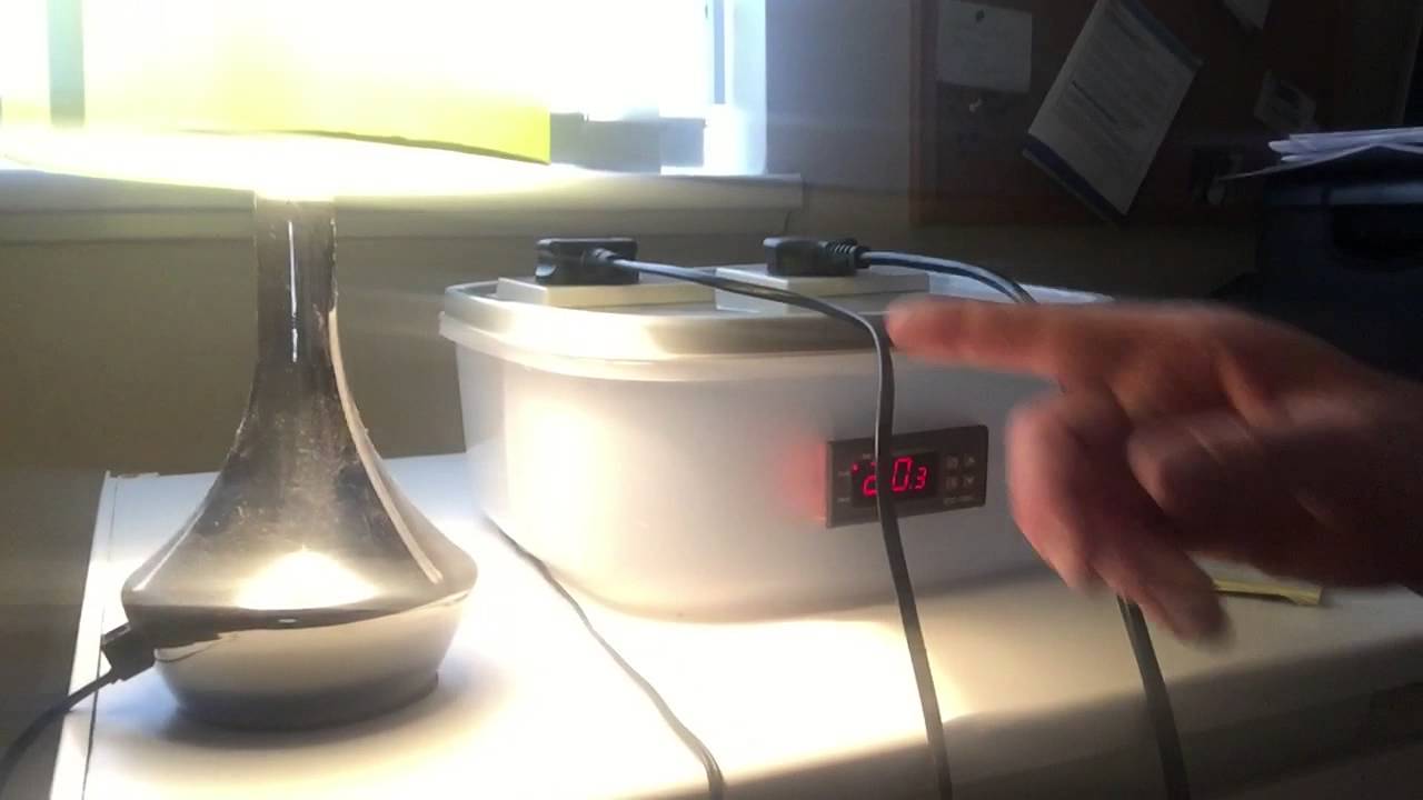 My Fermentation Fridge Build - YouTube