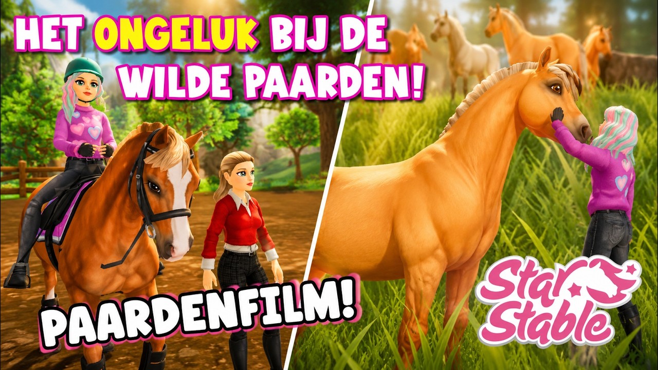 Verhaal over Wilde Paarden, een Ongeluk, En Een Nieuwe Manage! | Star ...