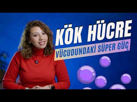 VÜCUDUNDAKİ SÜPER GÜÇ: KÖK HÜCRE
