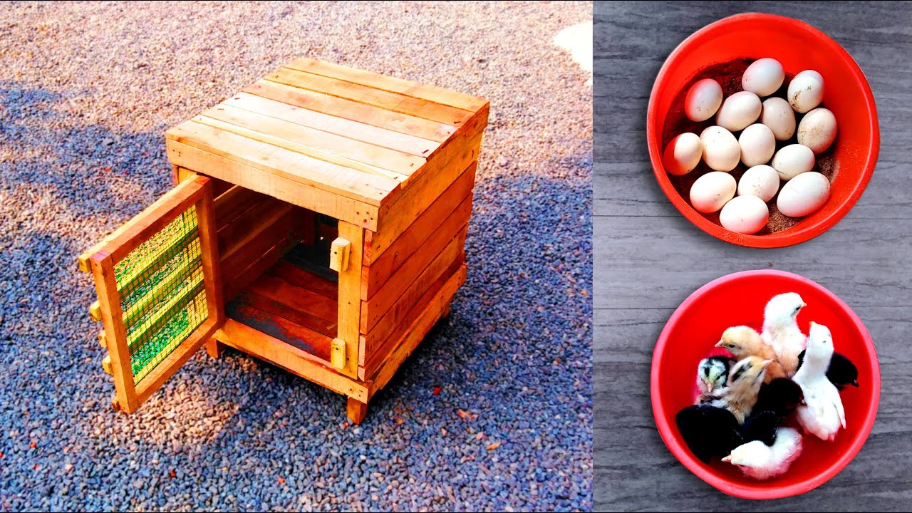 Making Mini Chicken Cage For Hatching Chicken Egg | How To Make Chicken ...