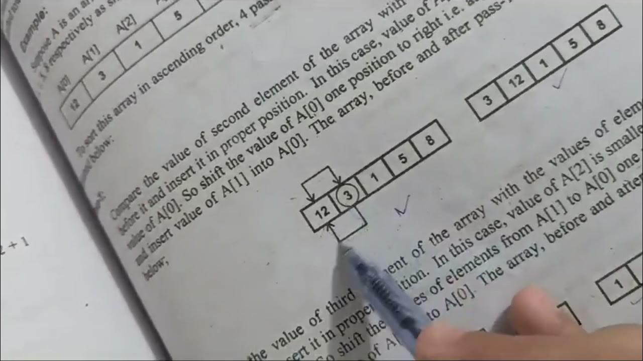 Insertion Sort Code Implementation Sort Insert Youtube Youtubevideo Youtuber Youtube