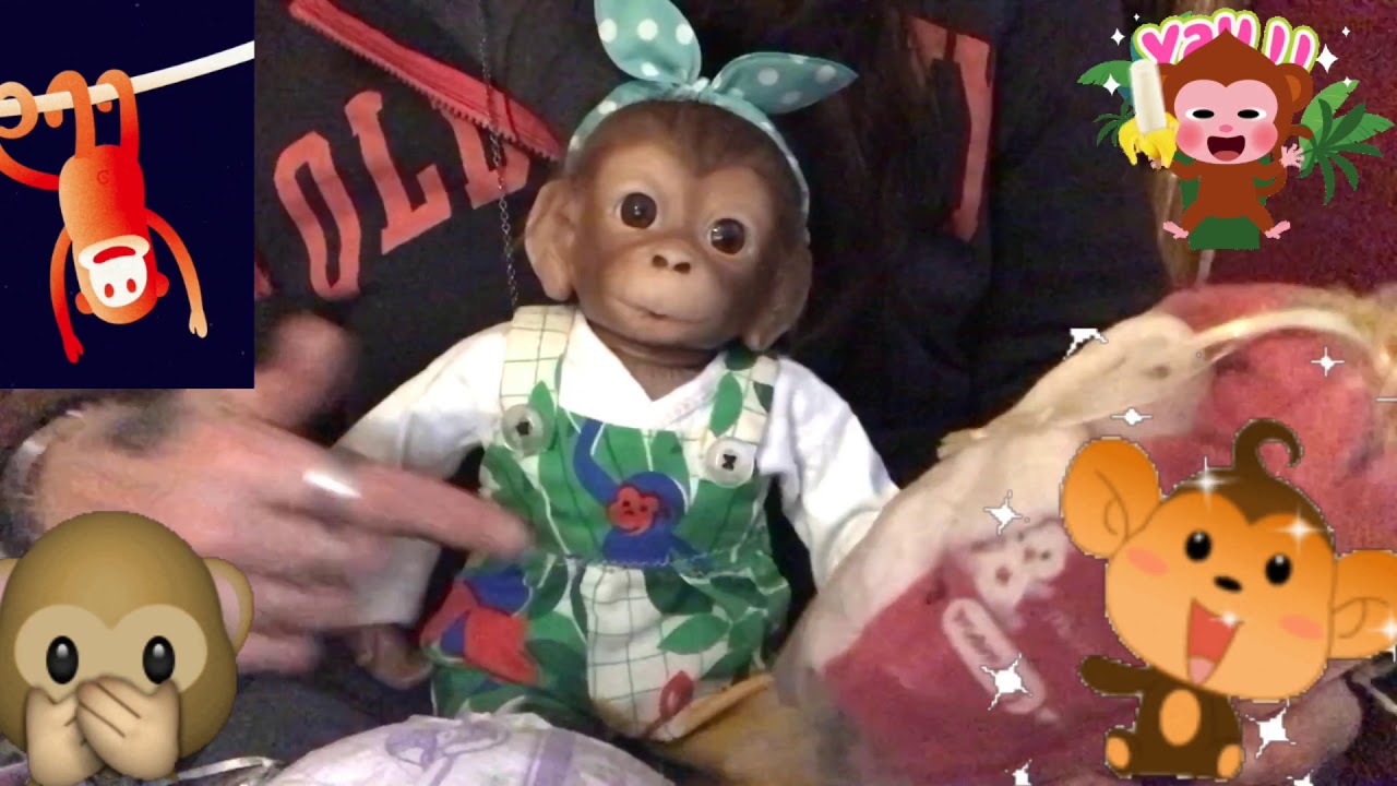 What my Ashton drake monkey is going to her new home with. ️😁box ...