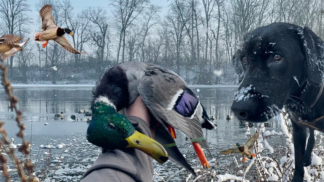 Duck Hunting MALLARDS in the SNOW! SUB FREEZING Micro Creek - YouTube