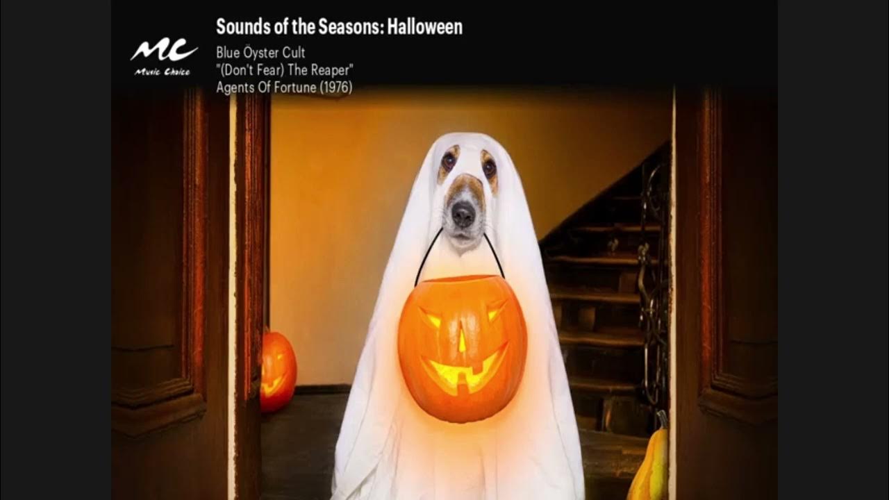 Music Choice Sounds of the seasons Halloween 2024 - Transition from ...