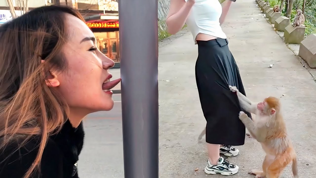 New Funny and Fail Videos 2024 😂 Cutest People Doing Funny Things 😺😍 ...