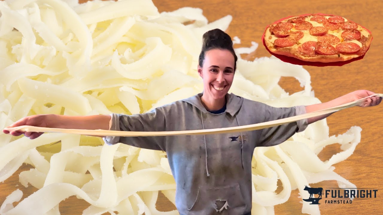 How to Make Quick Mozzarella With Skim Raw Cow's Milk | Homemade Cheese ...