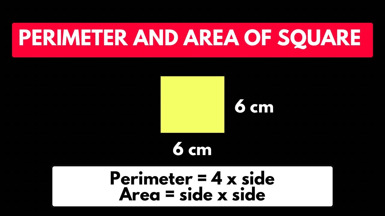 Perimeter and Area of Square | How to find perimeter of square | How to ...