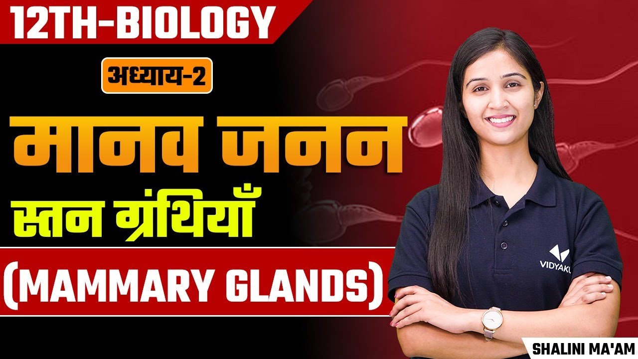 Mammary Glands L 3 Human Reproduction Class 12th Neet Biology By