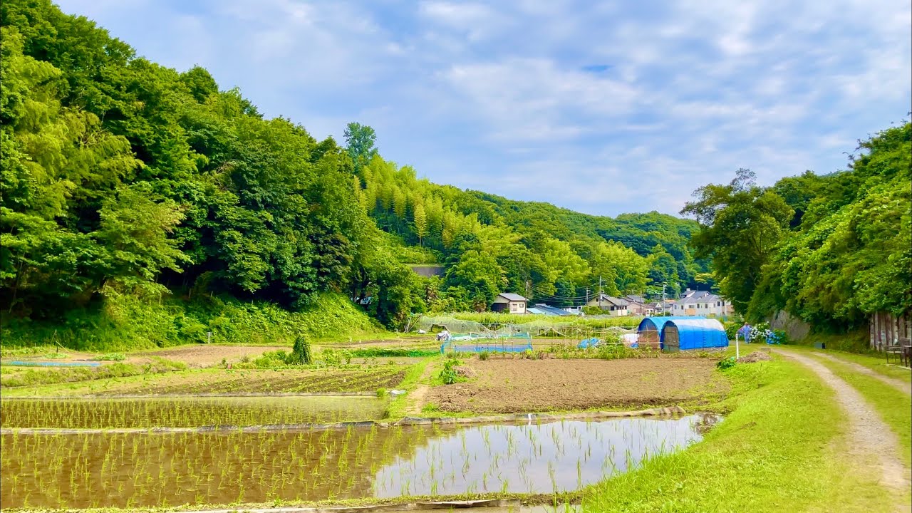 [JAPAN/TOKYO]Inagi Yanokuchi Japanese original scenery[Sugesengoku ...