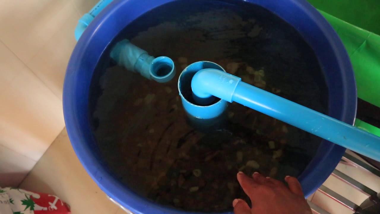 How to Make Recirculating Aquaculture System in Small Space - YouTube