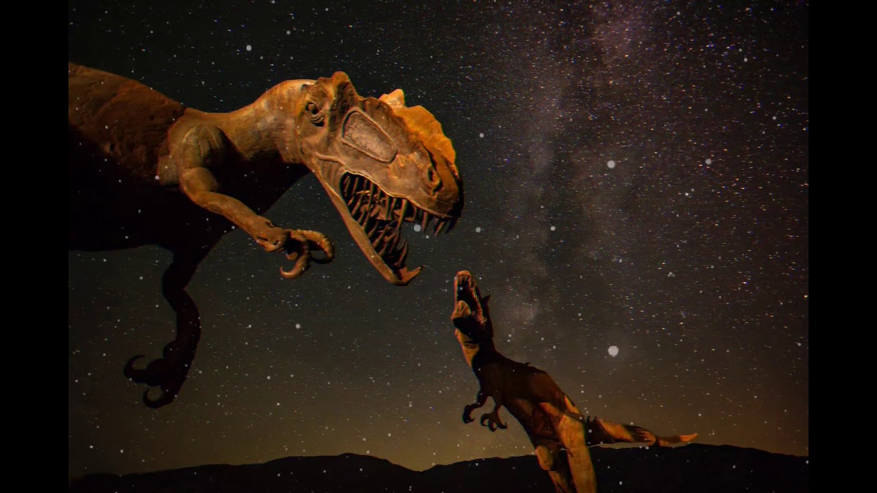 Месть - Даничч: Song Lyrics, Music Videos & Concerts