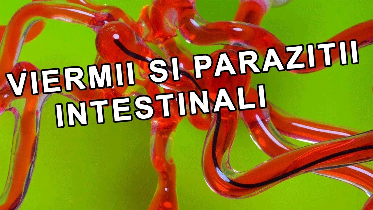 Intoxic In Farmacii |Viermii si parazitii intestinali. - YouTube