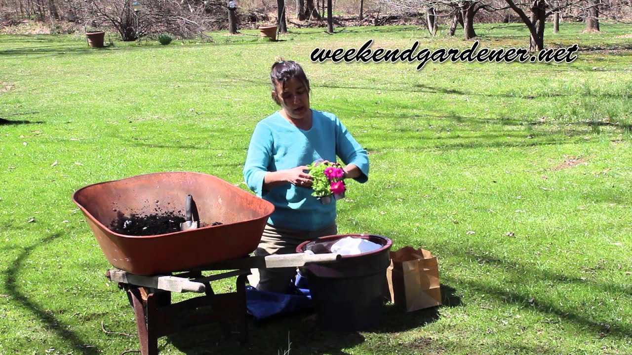 Diaper Farming: Using the Diaper - YouTube