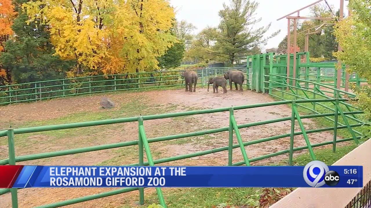 Elephant exhibit under construction at the zoo - YouTube