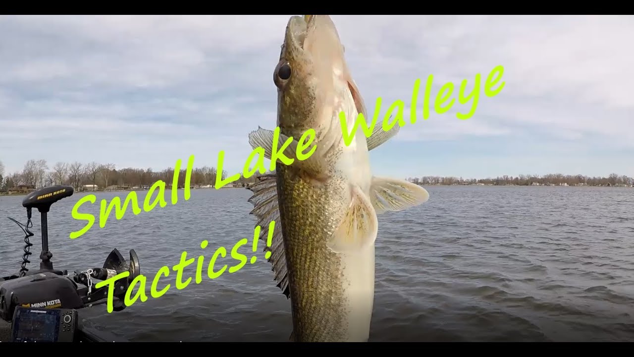 Walleye tactics in early spring on small lakes - YouTube